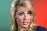 Sharon Tate Turner Classic Movies Sharon Tate Turner Classic Movies