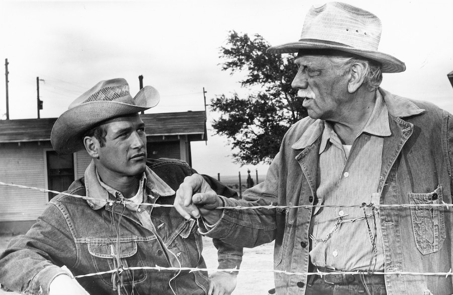 TCM Schedule – Daily and Weekly Movie Schedule - Turner Classic Movies