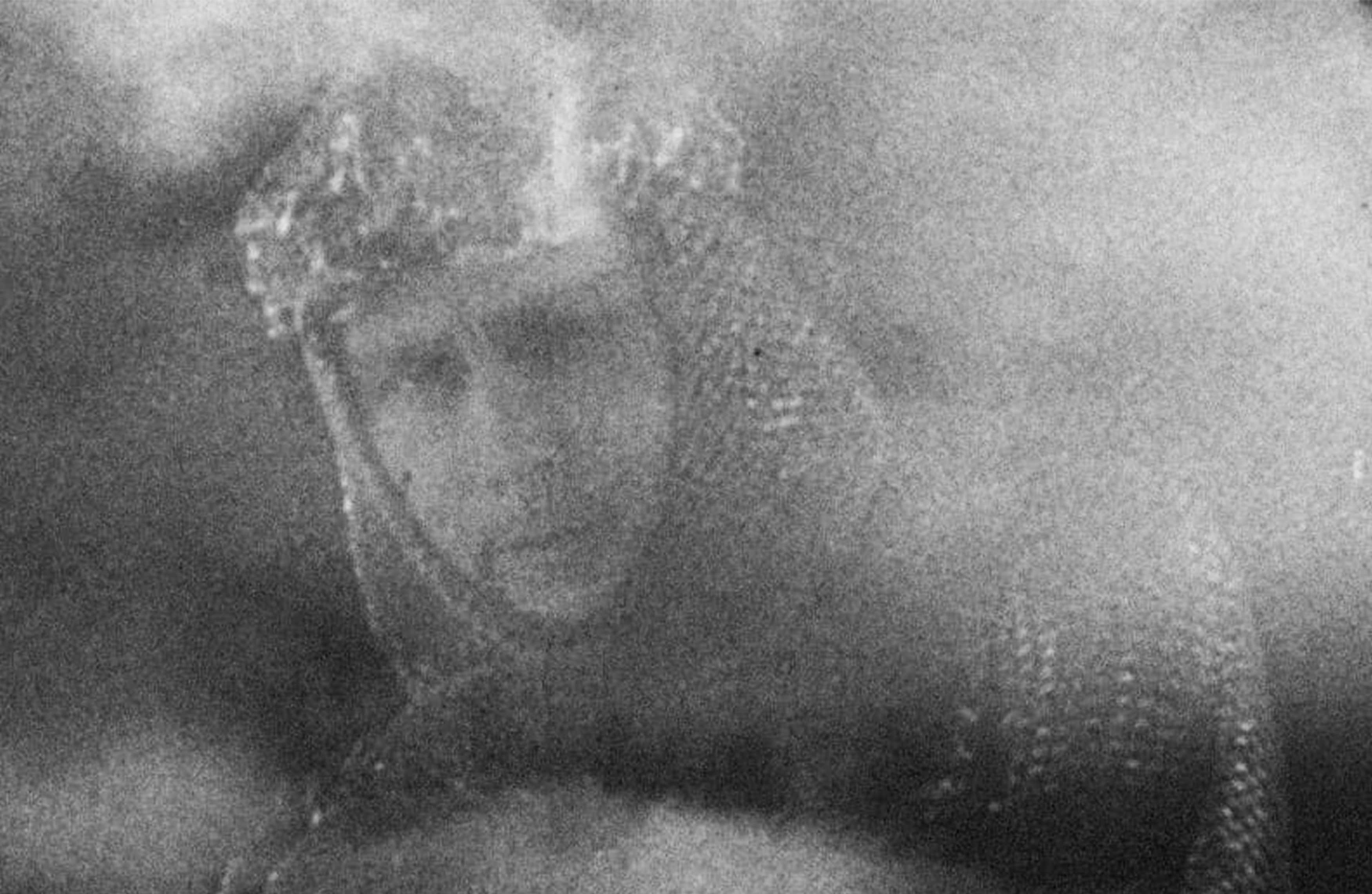 The Erl King (1931) - Turner Classic Movies