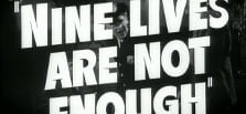 Nine Lives Are Not Enough - (Original Trailer) - Turner Classic Movies